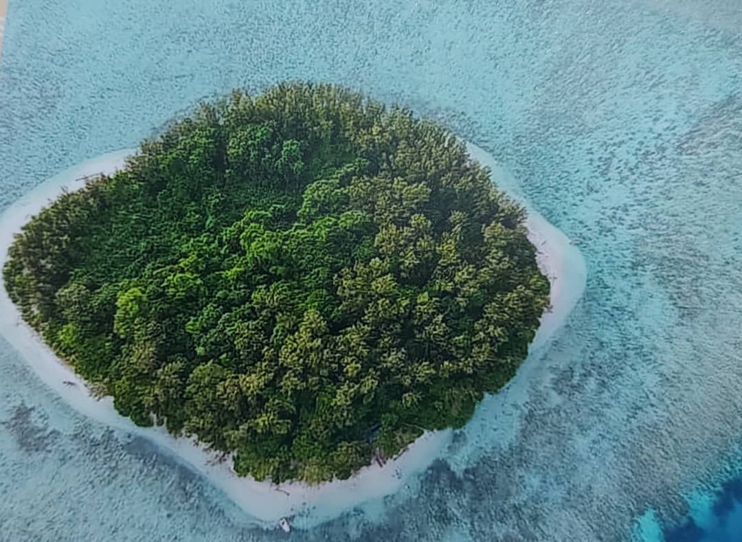 Homepage [cheng-gong.org]